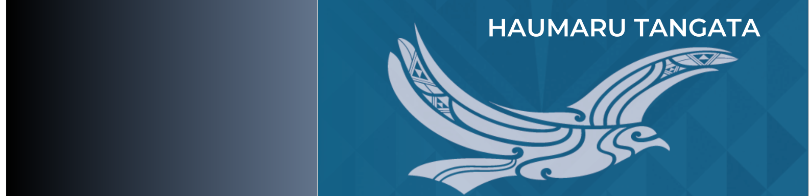 Home | Government Health and Safety Lead