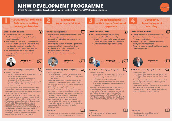 Mentally Healthy Work Development Programme | Government Health and ...